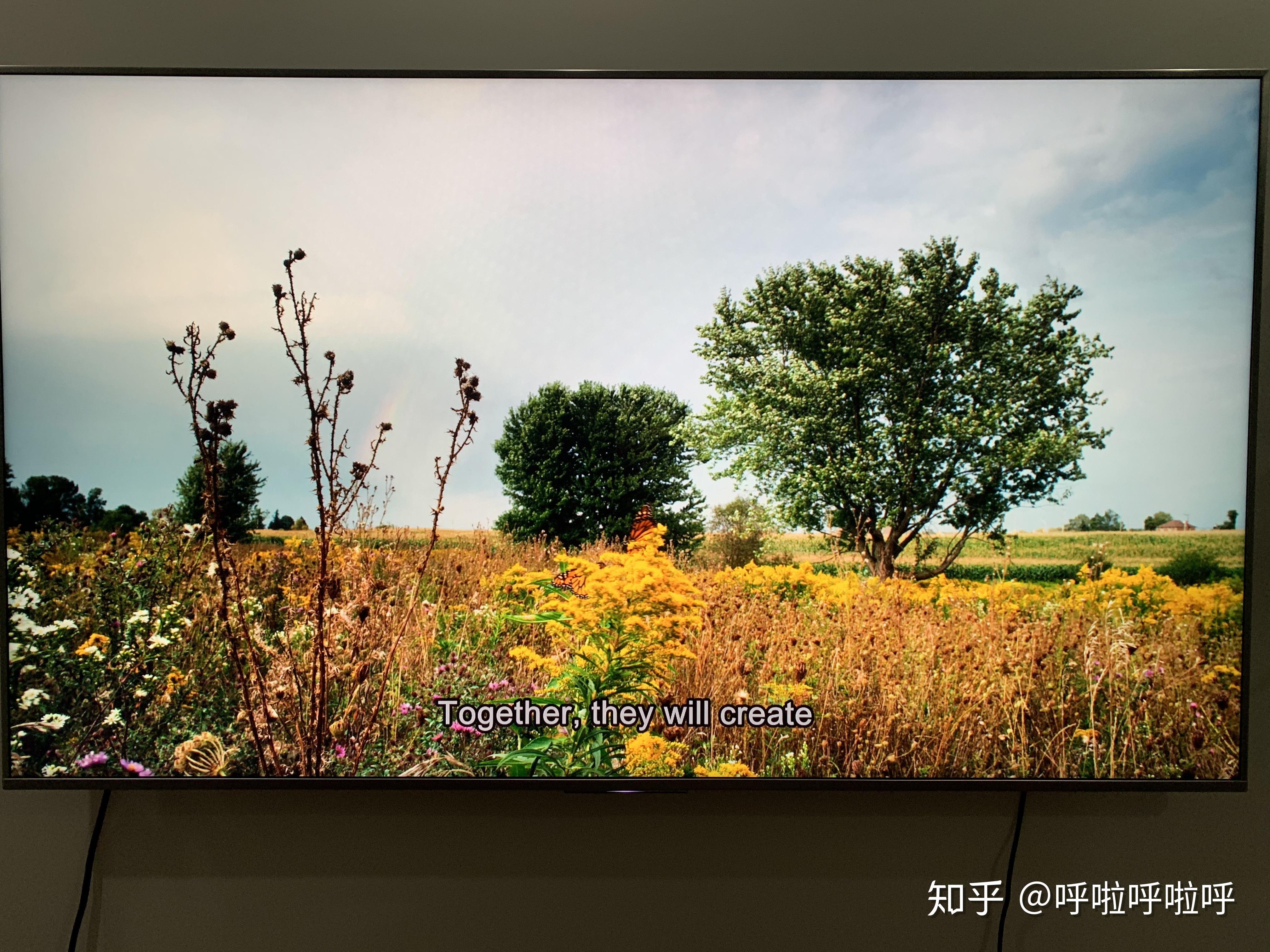 4K厅 篇一：4K纪录片究竟有多少？珍藏好这份全球最全4K超清蓝光纪录片清单（第1-10部） - 知乎