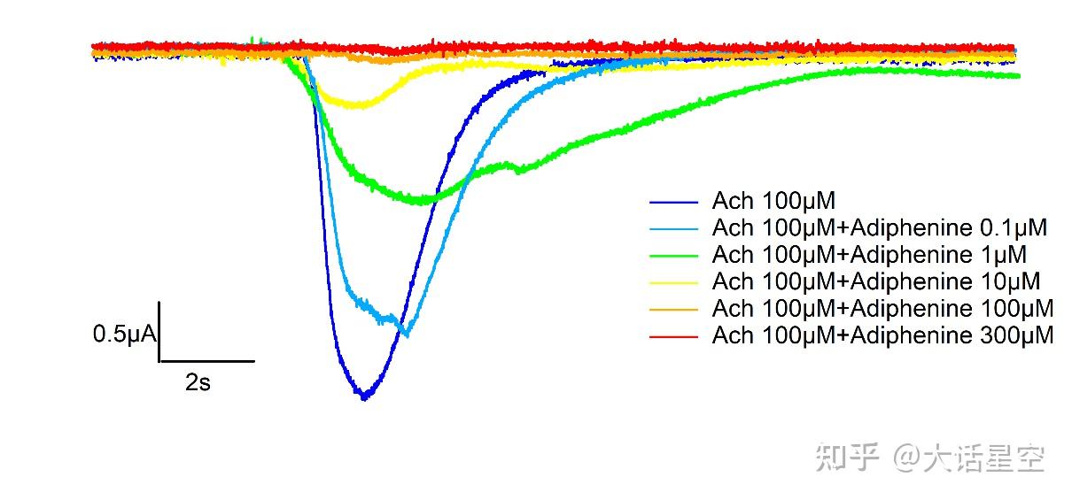 双电极电压钳|膜片钳服务|北京膜片钳 - 知乎