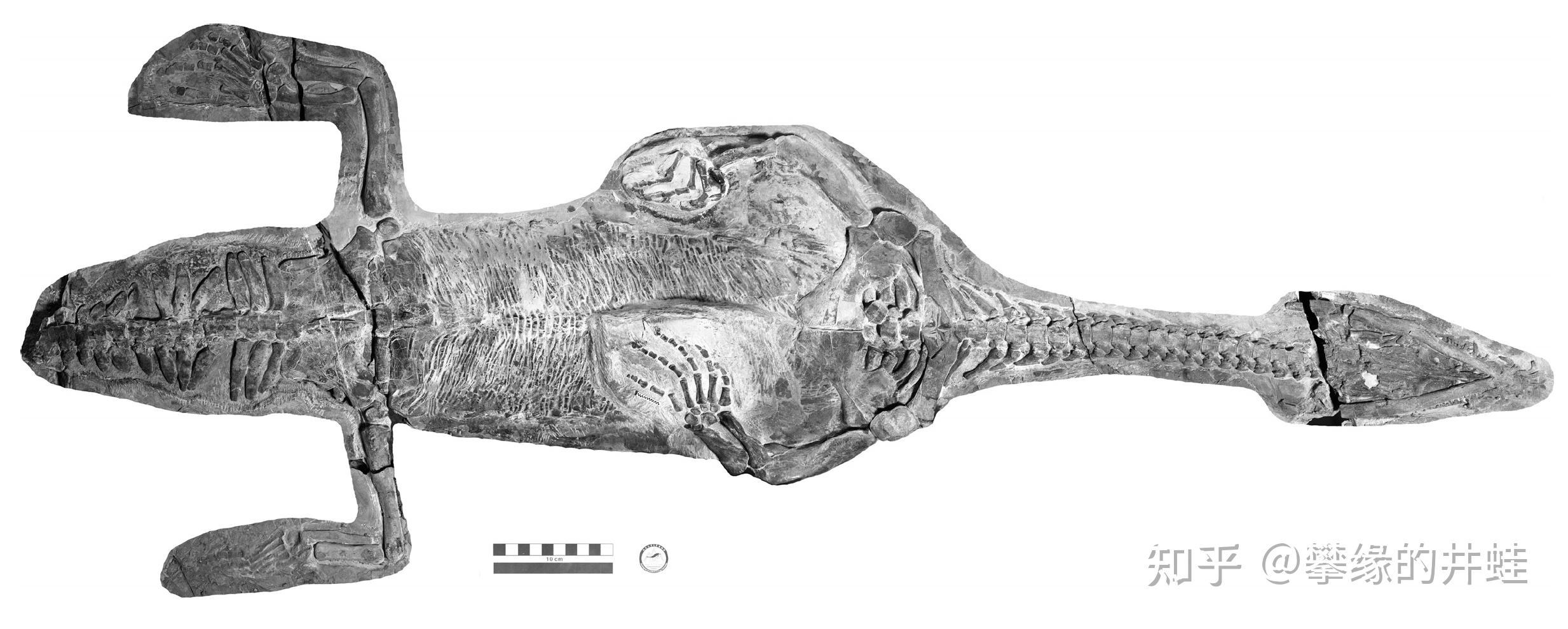 第二百八十六回 幽蓝幻想曲2：逼近的暗影 - 知乎