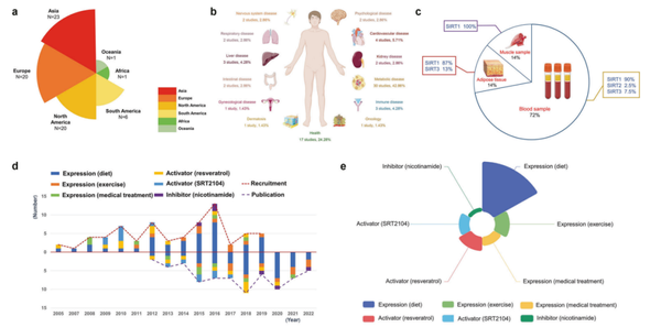 “酰”睹为快！STTT | 中国医科大学赵玉虹/刘彩刚发表SIRT蛋白家族与人类健康和疾病的综述 - 知乎
