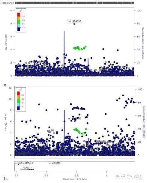 Commun Biol：识别出指示1型糖尿病罕见形式的新型遗传标志物┃特别关注 - 知乎