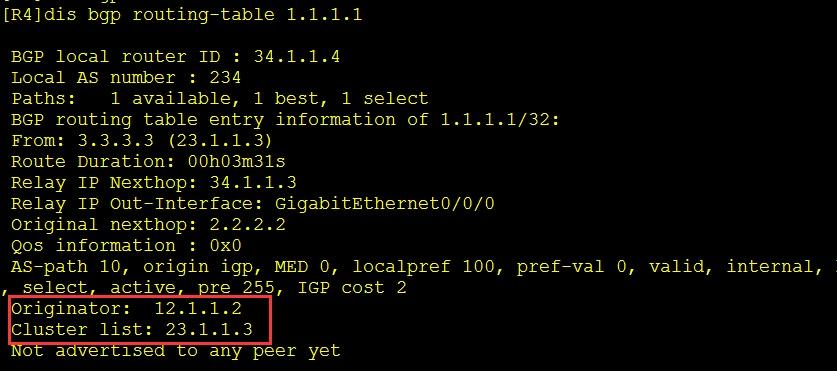 【HCIE】NO.19 BGP反射器 - 知乎