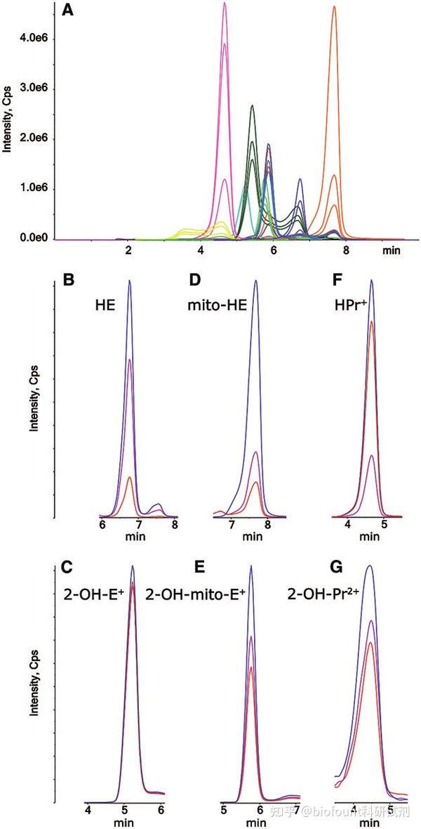 Mito-HE；特异性靶向活细胞线粒体荧光探针 - 知乎