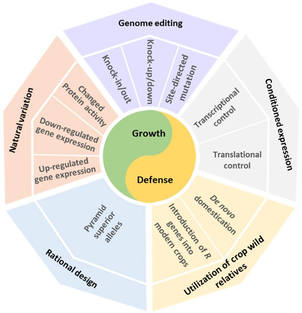 植物的生长-防御平衡 - 知乎