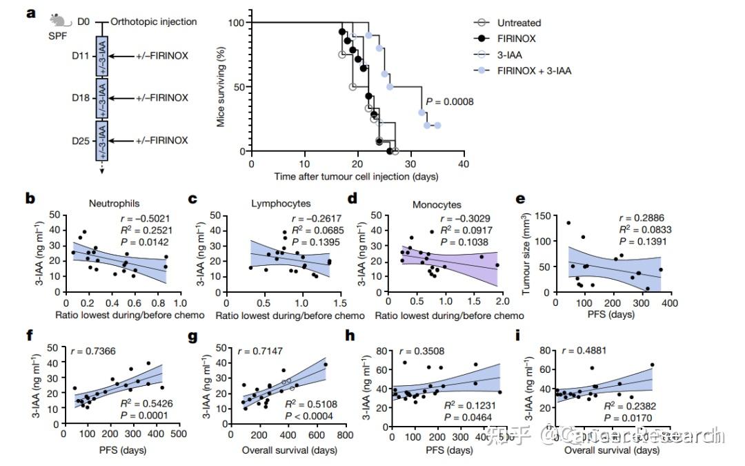 Nature|微生物来源的3-IAA影响胰腺癌化疗疗效 - 知乎