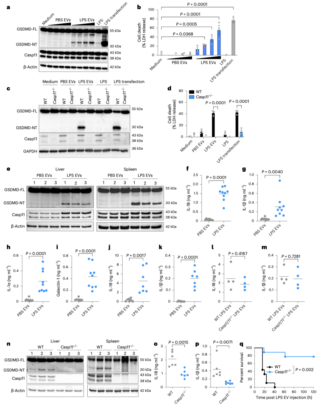Nature Cell Biology丨循环外泌体可以携带 LPS 诱导焦亡 - 知乎