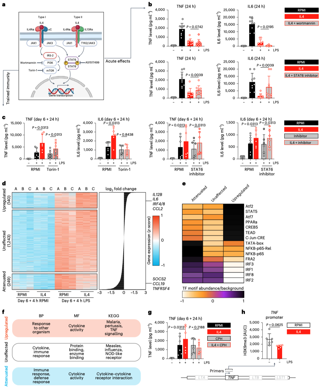 Nature Biomedical Engineering丨IL-4免疫训练可以逆转脂多糖诱导的免疫麻痹 - 知乎
