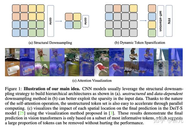 DynamicViT: Efficient Vision Transformers with Dynamic Token ...