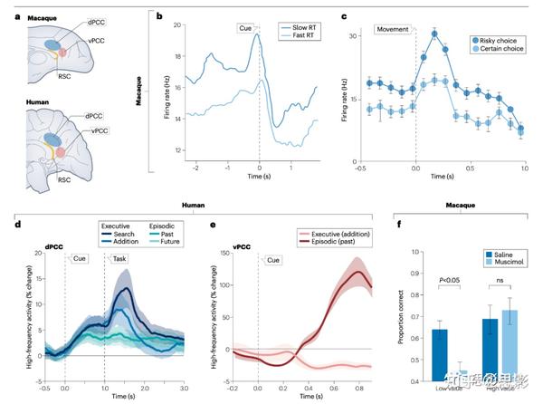 后扣带回的三分视角 - 知乎