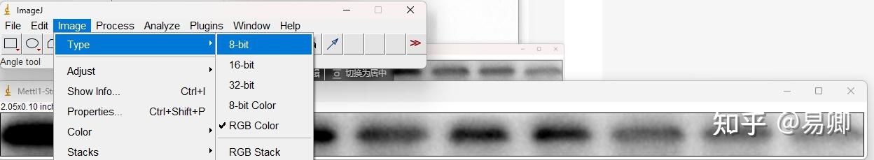 一文读懂！Image J与WB图像的处理与分析 - 知乎