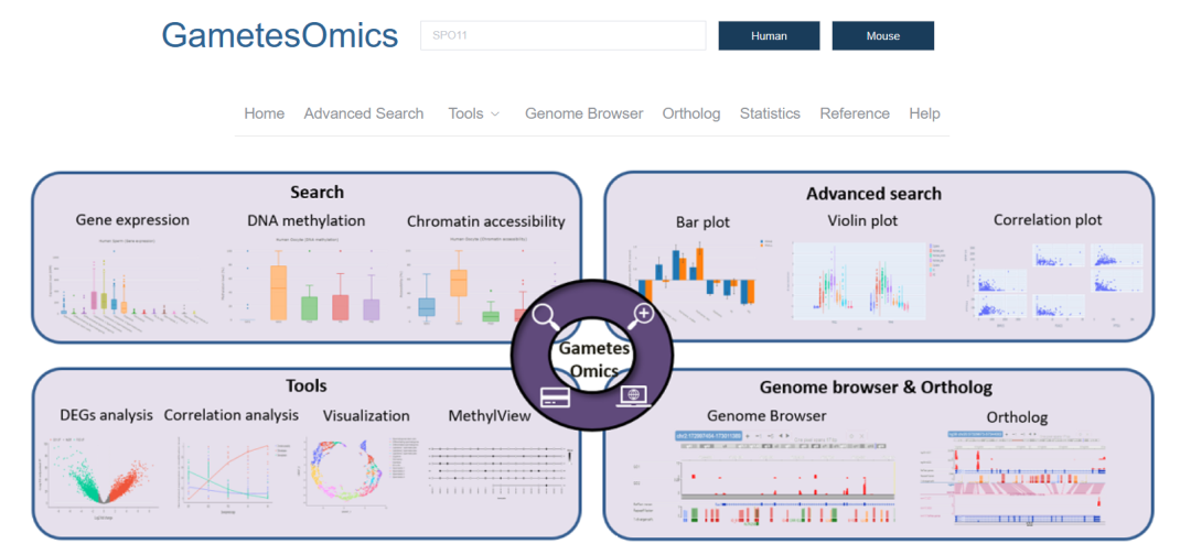 GPB | GametesOmics：人类和小鼠生殖细胞发育的多组学数据库 - 知乎