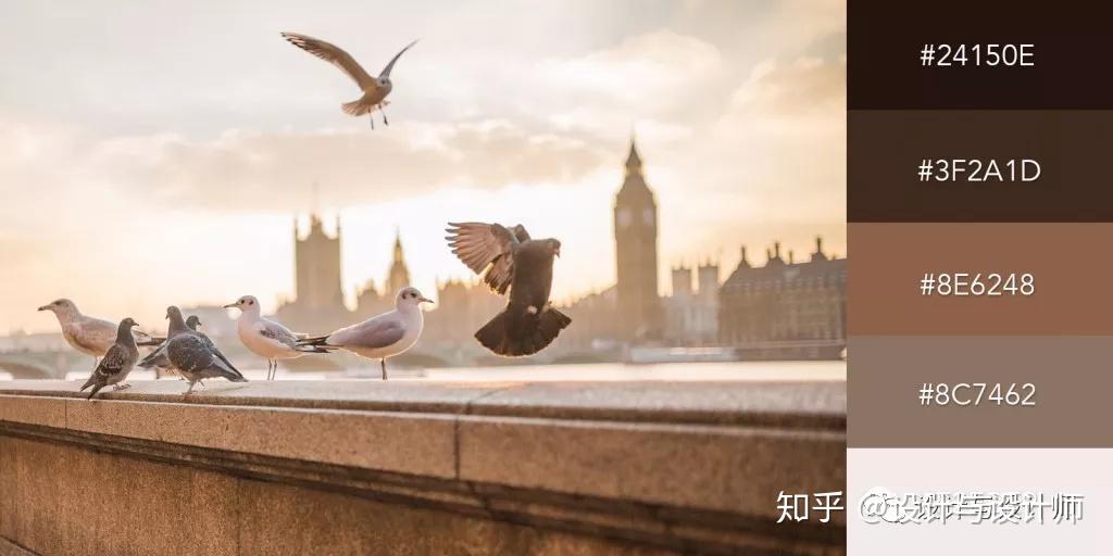 『设计｜色彩』50个美丽的色彩组合（50 Beautiful Color Combinations） - 知乎