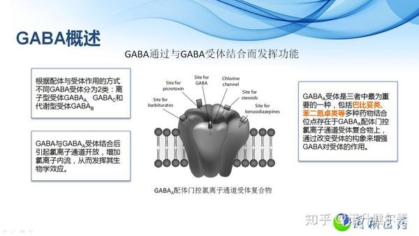 最新丨儿童营养领域重磅产品——口服GABA冲剂 - 知乎