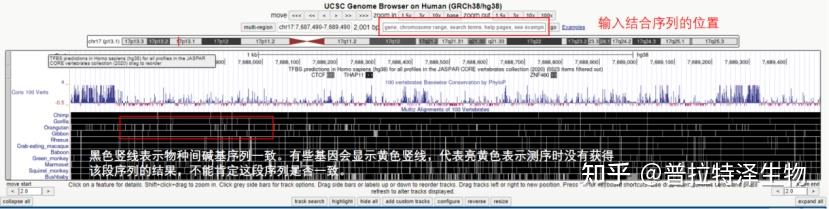 转录因子预测及优化策略-NCBI、JASPAR、UCSC数据库联用 - 知乎
