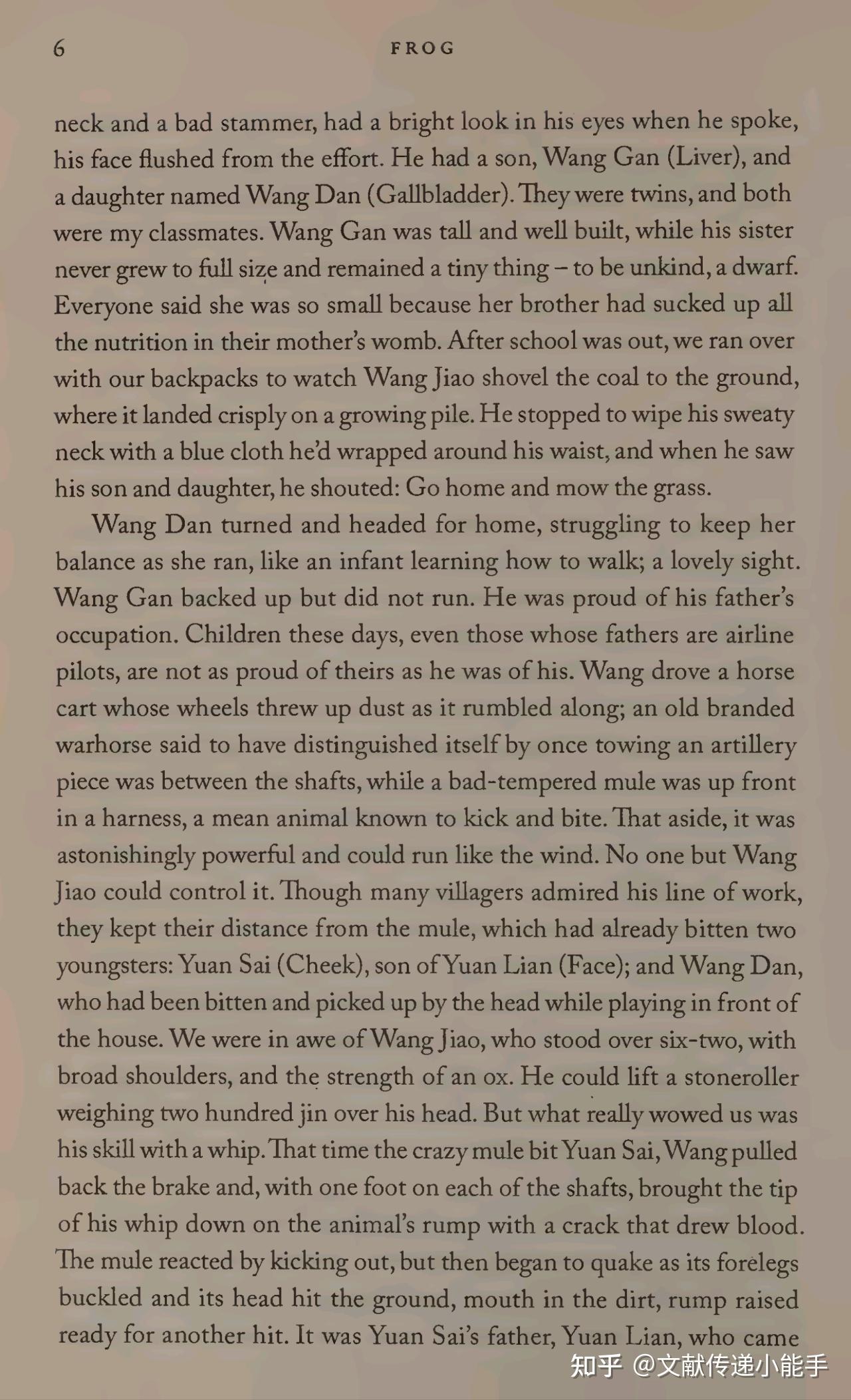 莫言,蛙,英译本,英文版,葛浩文译,Frog trans by Howard Goldblatt - 知乎