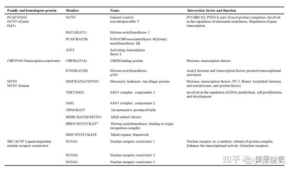 KATs(赖氨酸乙酰转移酶) panel - 知乎