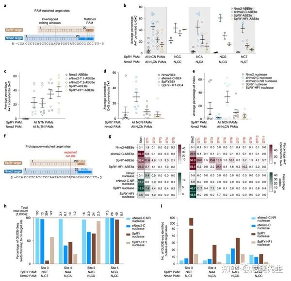 NBT | 重磅！David R. Liu进化出紧凑的可识别单嘧啶PAM的Cas9变体 - 知乎