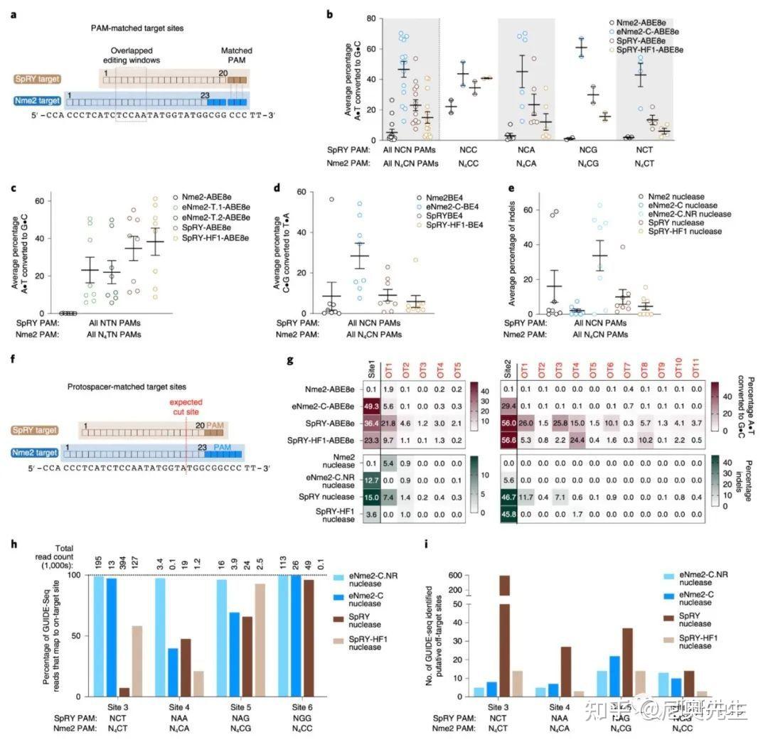 NBT | 重磅！David R. Liu进化出紧凑的可识别单嘧啶PAM的Cas9变体 - 知乎