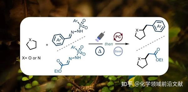 Angew：光催化磺酰腙参与的C(sp3)−H烷基化反应 - 知乎