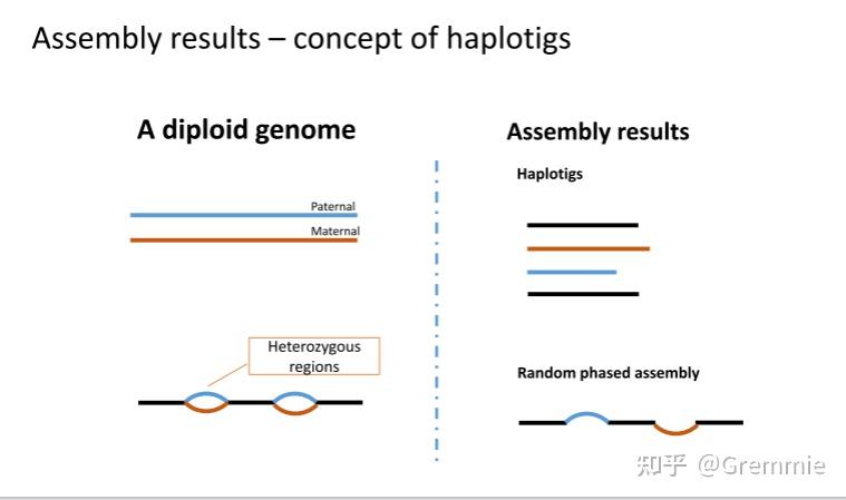 从头全基因组组装De novo whole genome assembly - 知乎