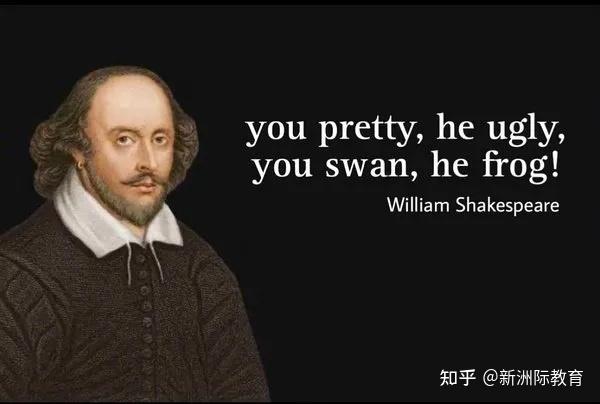 “中式英语”海外爆火！"cry cry cry!""You swan, he frog!"堪比莎士比亚？！ - 知乎