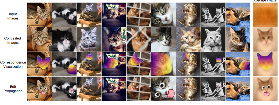 CVPR 2022 | 最全25+方向、50篇生成对抗GAN论文汇总 - 知乎