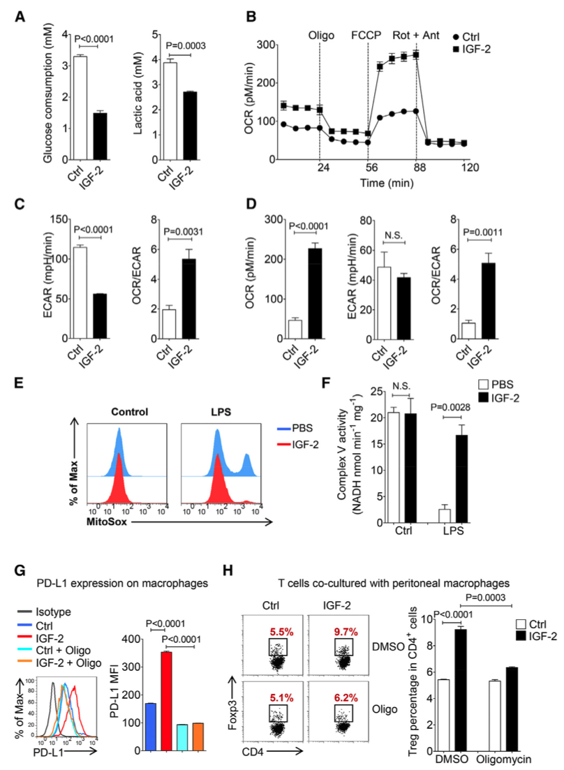 Immunity丨IGF-2处理使巨噬细胞代谢重编程从而发挥抗炎作用 - 知乎