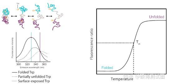 一文读懂差示扫描荧光法（DSF） - 知乎