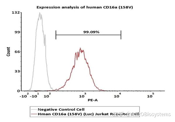 ADCC/ADCP功能验证用细胞株新品上市，助力细胞水平Fc功能验证 - 知乎