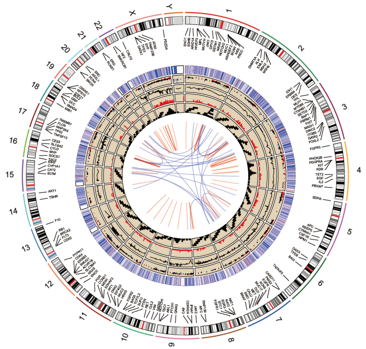 R 数据可视化 03 | 圈图 - 知乎