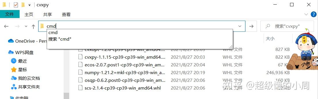 Python：安装cvxpy，进行凸优化 - 知乎