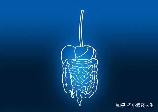 肠胃不好的人，手上有4种表现 知乎