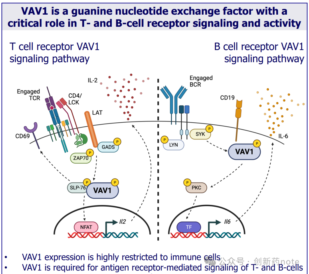 Monte rosa therapeutics – 分子胶领域的王 - 知乎
