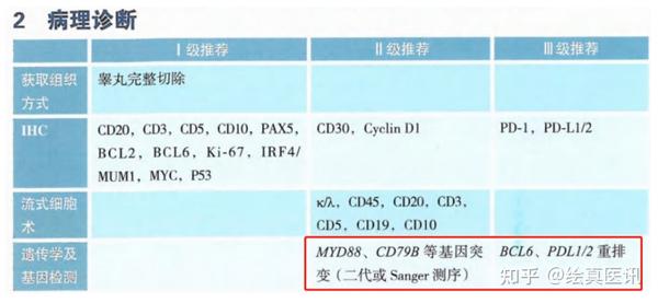 解读2023CSCO指南推荐淋巴瘤应进行哪些基因检测 - 知乎