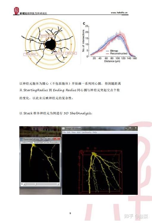 ImageJ如何做出高颜值SCI配图？看完直接冲上5分+！（附实用插件） - 知乎