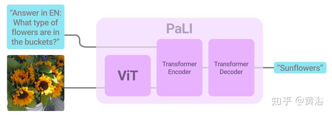 PaLI-3: 更小更快更强的视觉语言模型 - 知乎
