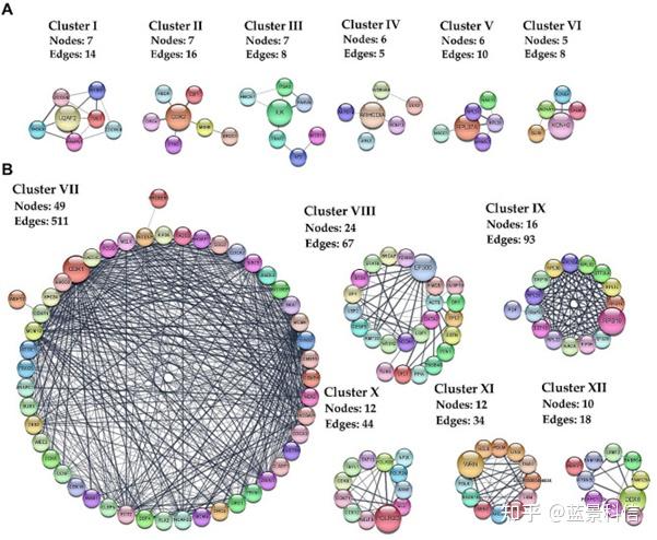 Cytoscape-基础使用手册 - 知乎