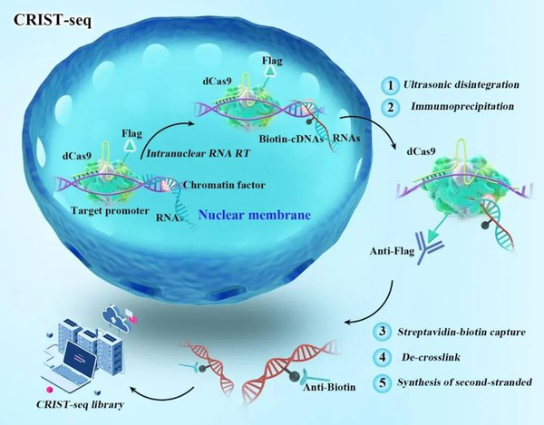 Bio-protocol | 2023年7月20日最新上线实验方案目录 - 知乎