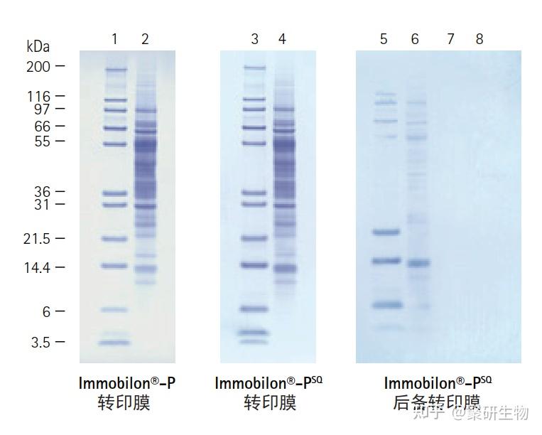 PVDF膜孔径怎么选？ - 知乎