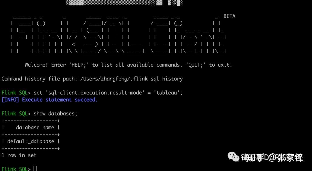 Apache Doris 整合 FLINK CDC 、Paimon 构建实时湖仓一体的联邦查询入门 - 知乎