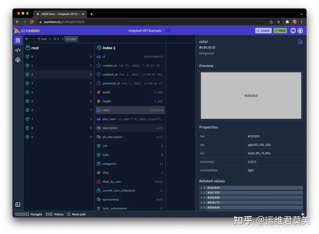 发现一款JSON可视化工具神器，惊艳了！ - 知乎