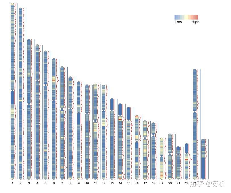 RIdeogram：使用R包绘制染色体信息 - 知乎