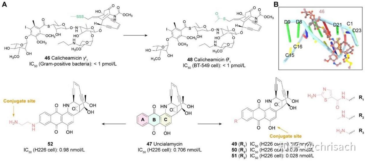 ADC药物Payload详解 - 知乎