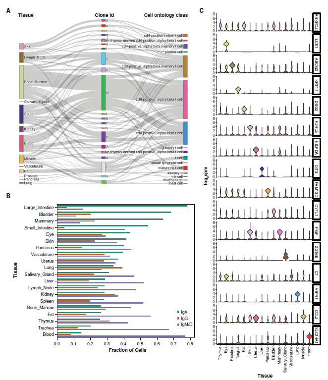 Science | Tabula Sapiens：人类多器官单细胞转录本测序图谱 - 知乎
