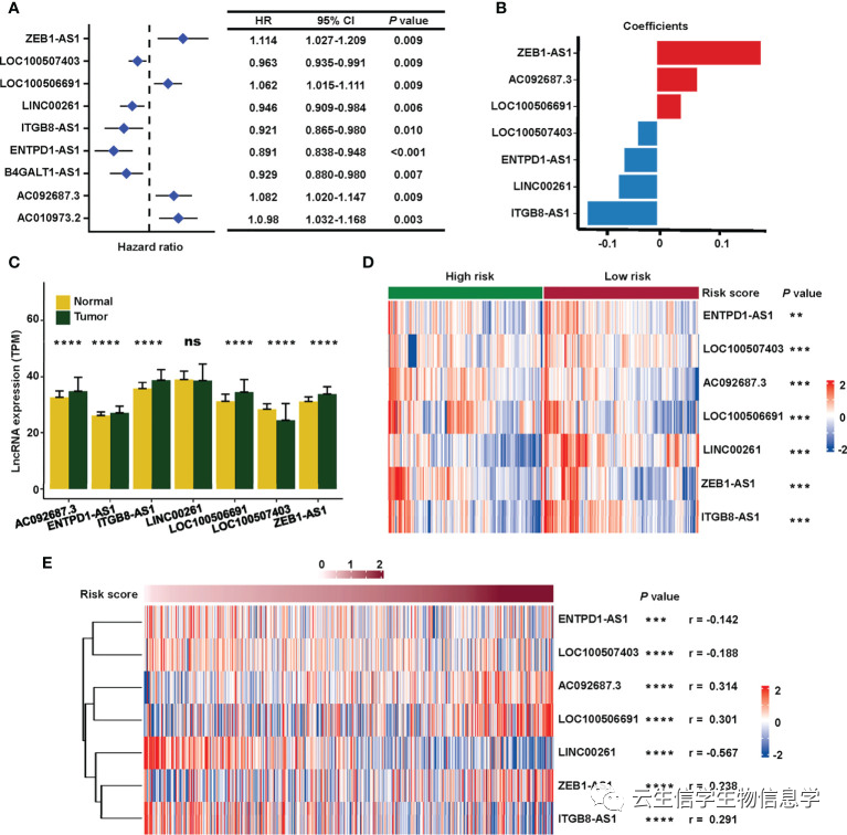 Cell和Nature共同关注“唾液酸化”，做生信超赞！lncRNA预后模型+实验=8分+，附带“唾液酸化”基因集合，可直接复现 - 知乎