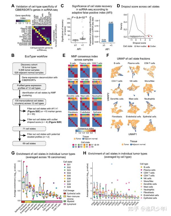 10X单细胞空间数据分析之表征细胞状态和生态型（EcoTyper） - 知乎
