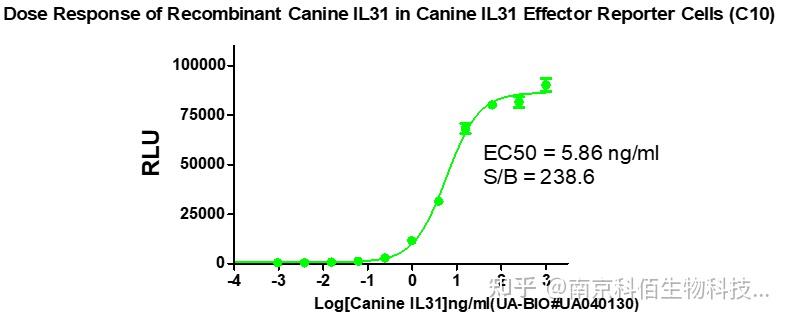 药靶细胞模型---Canine IL-31细胞筛选模型 - 知乎