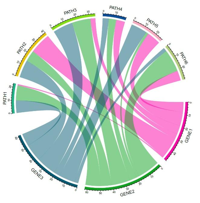 圈图绘制 - 知乎