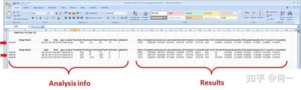 Angiotool 血管参数分析软件 - 知乎
