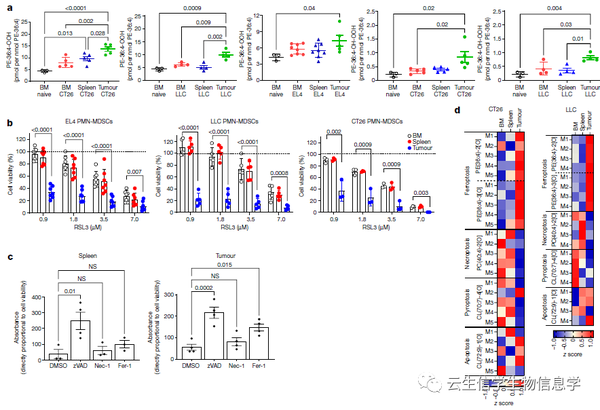 从Nature文章剖析铁死亡和肿瘤微环境结合的研究思路，并告诉你怎么灵活应用生信分析为文章增彩！ - 知乎